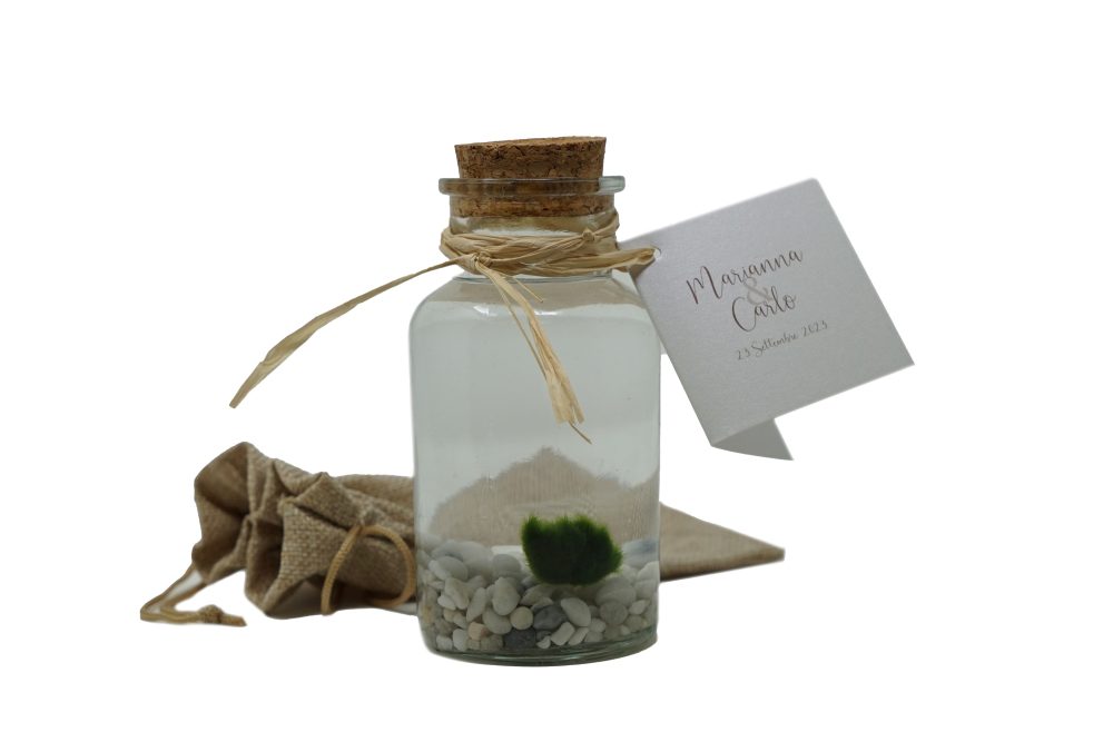 Bomboniera Marimo | La Boutique del Verde